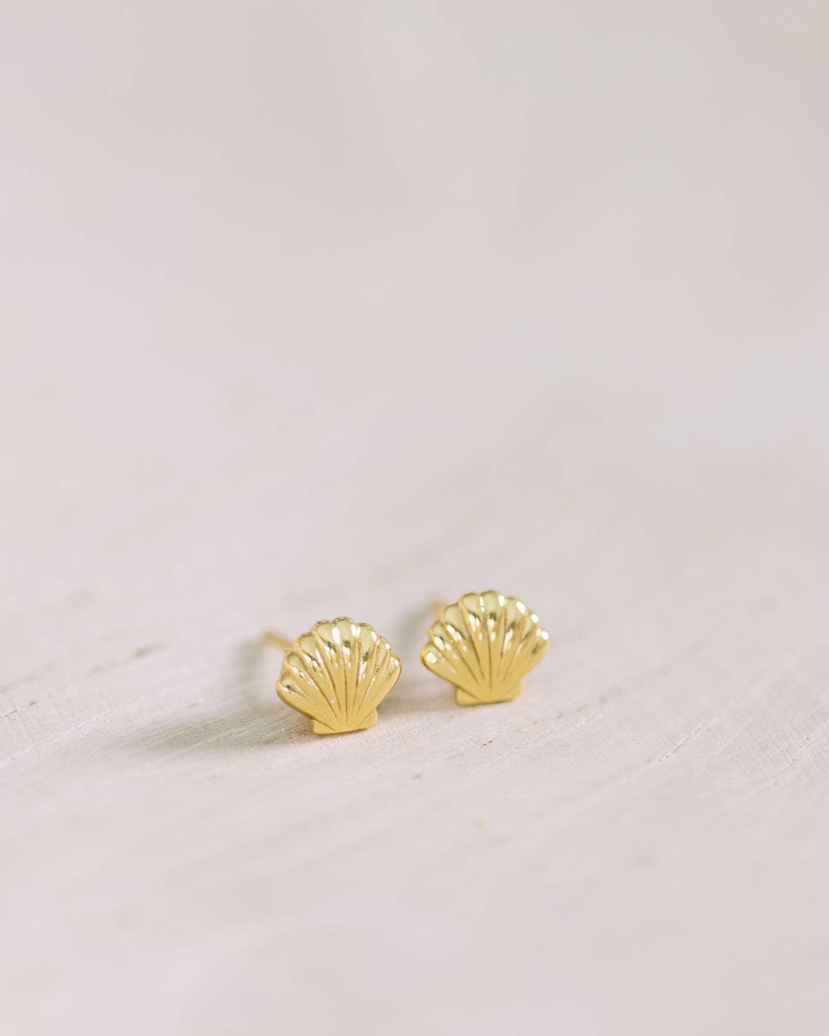 Coast and Cove - Gold Scallop Shell Studs – Urban Poppy